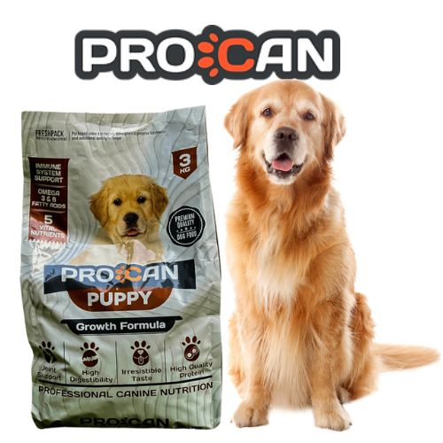 Online Pet Shop In Pakistan | Best Prices - AllAboutPetsPk